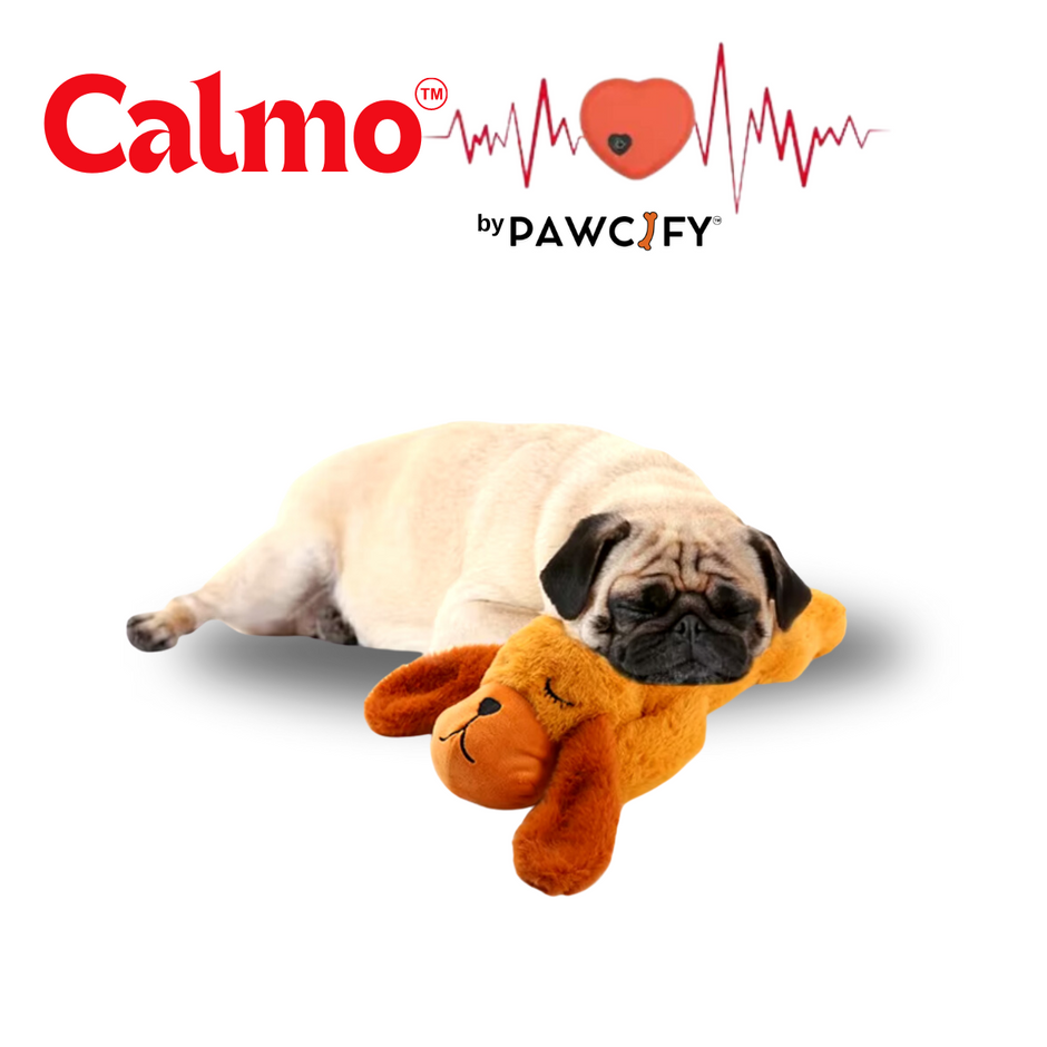 Products – PAWCIFY